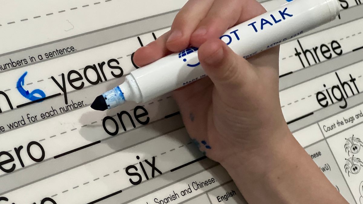 Interactive Learning Placemats for Kids: Mealtime Learning Made Fun ...